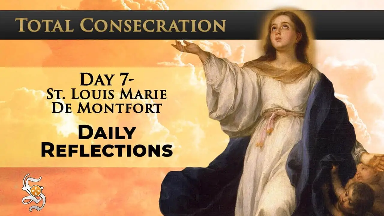 Total Consecration Day 7 – Montfort Reflection